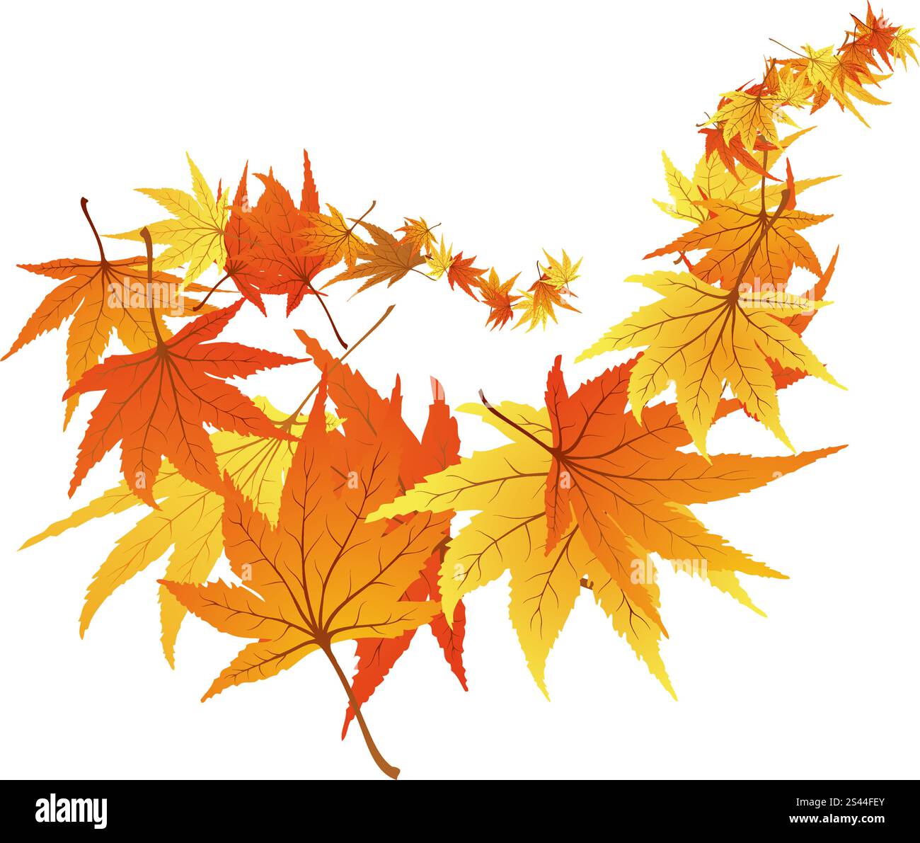 Twisted row of autumn maples leaves. Vector illustration Stock Vector ...