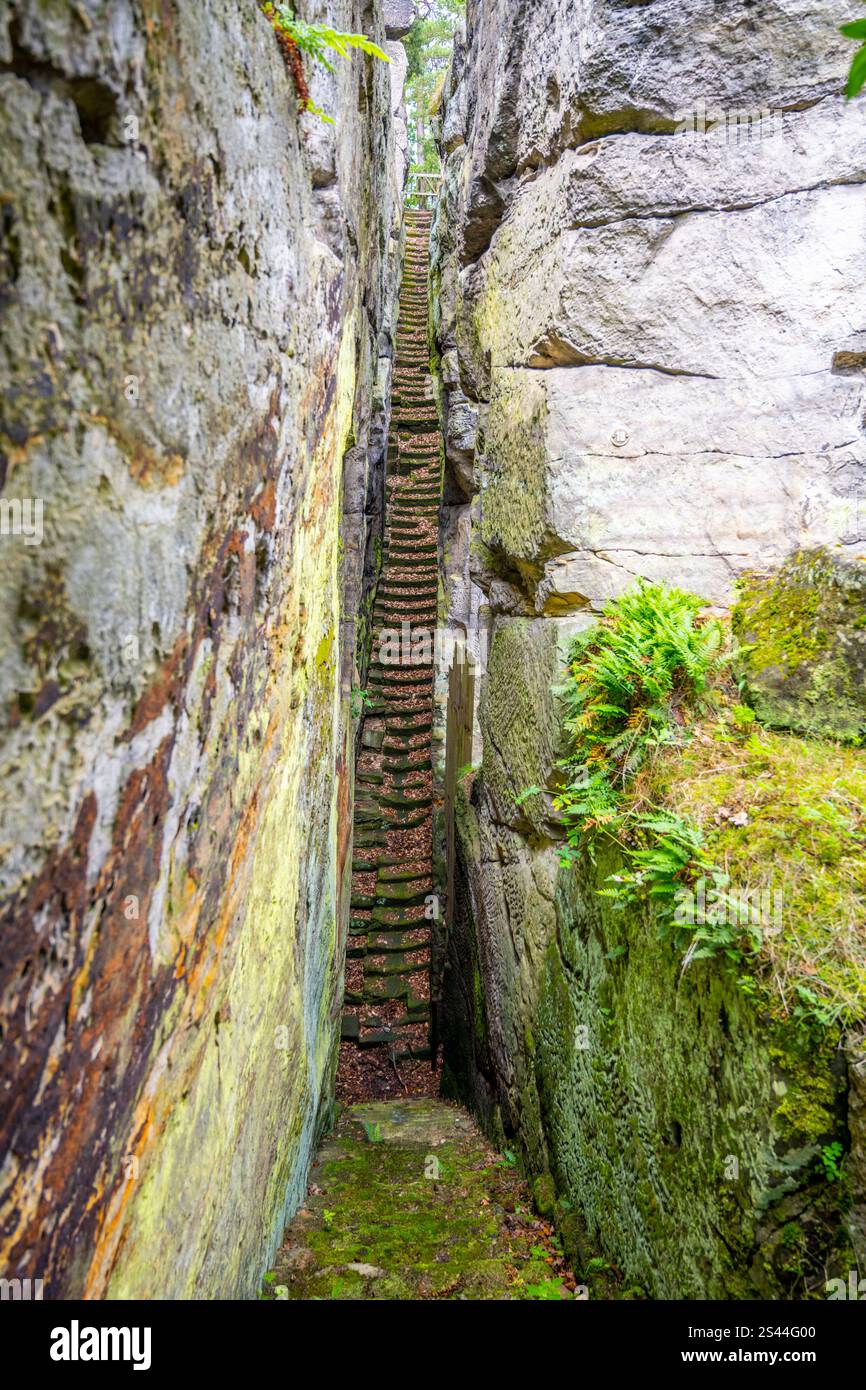 Visitors navigate the steep, narrow staircase surrounded by towering ...