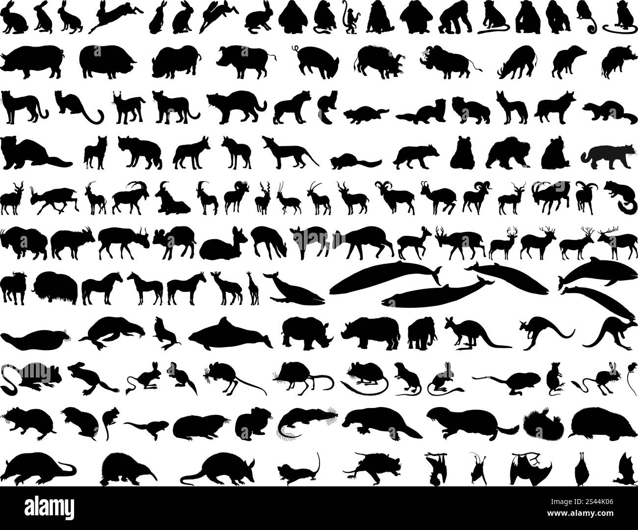 Big collection of different illustration vector animals Stock Vector ...