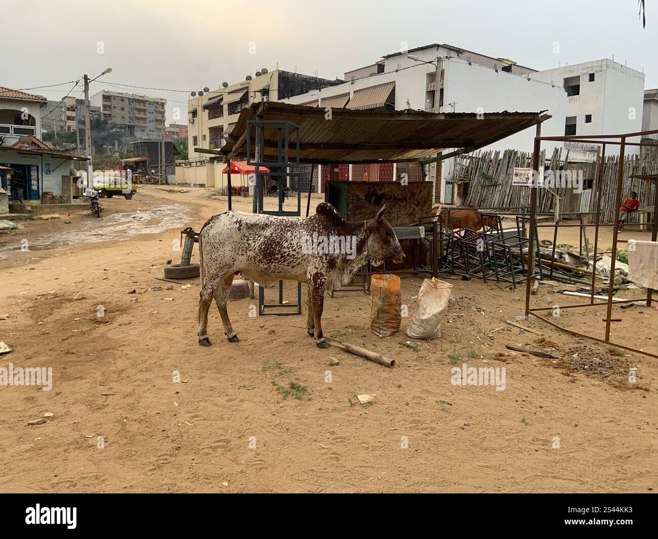 The city of Ivory Coast, where many people with limited resources ...