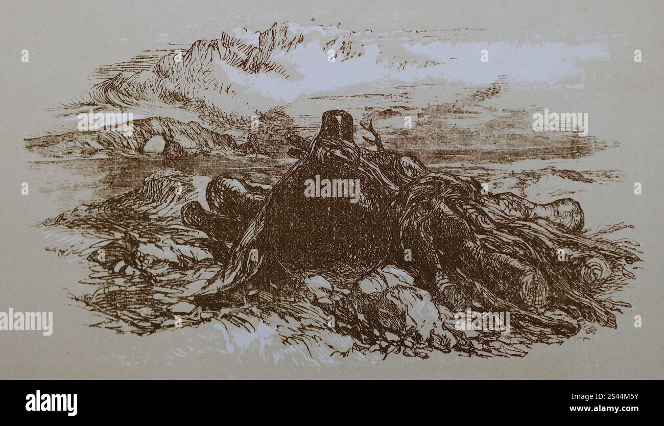 Shakespeare line drawing hi-res stock photography and images - Alamy