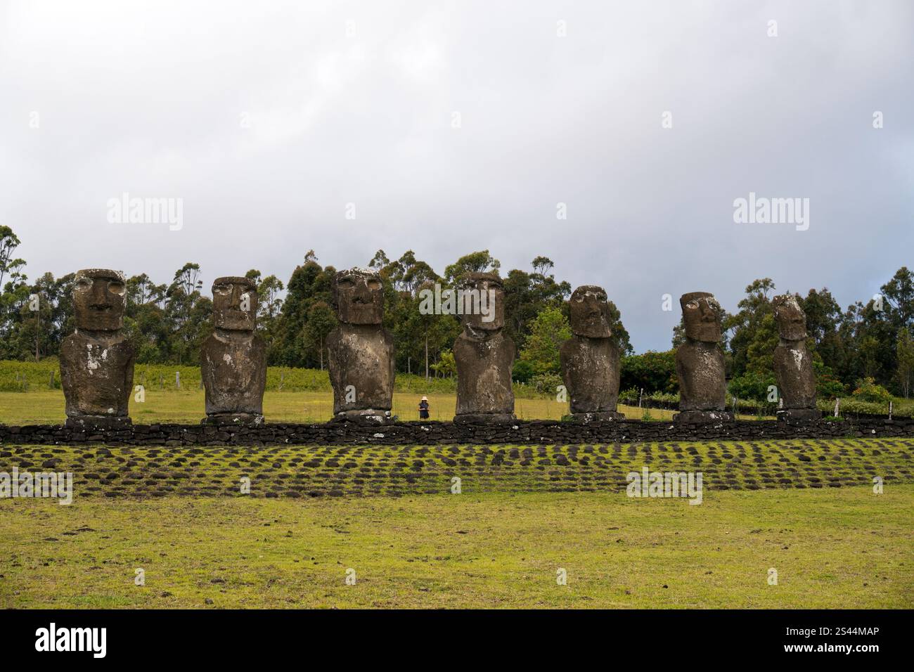 Ahu Akivi is an inland site of seven Moai facing the Pacific Ocean and ...