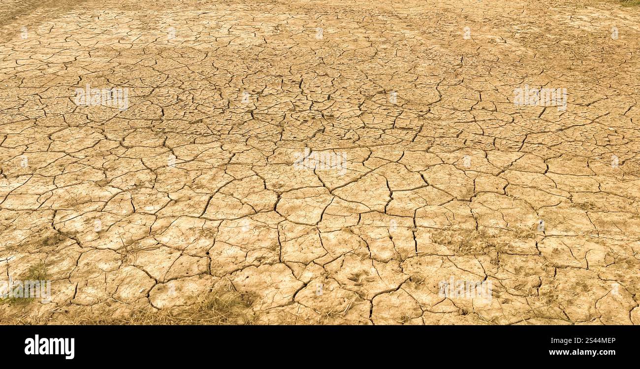 Dry clay soil with large cracks was formed after the heavy continuous ...