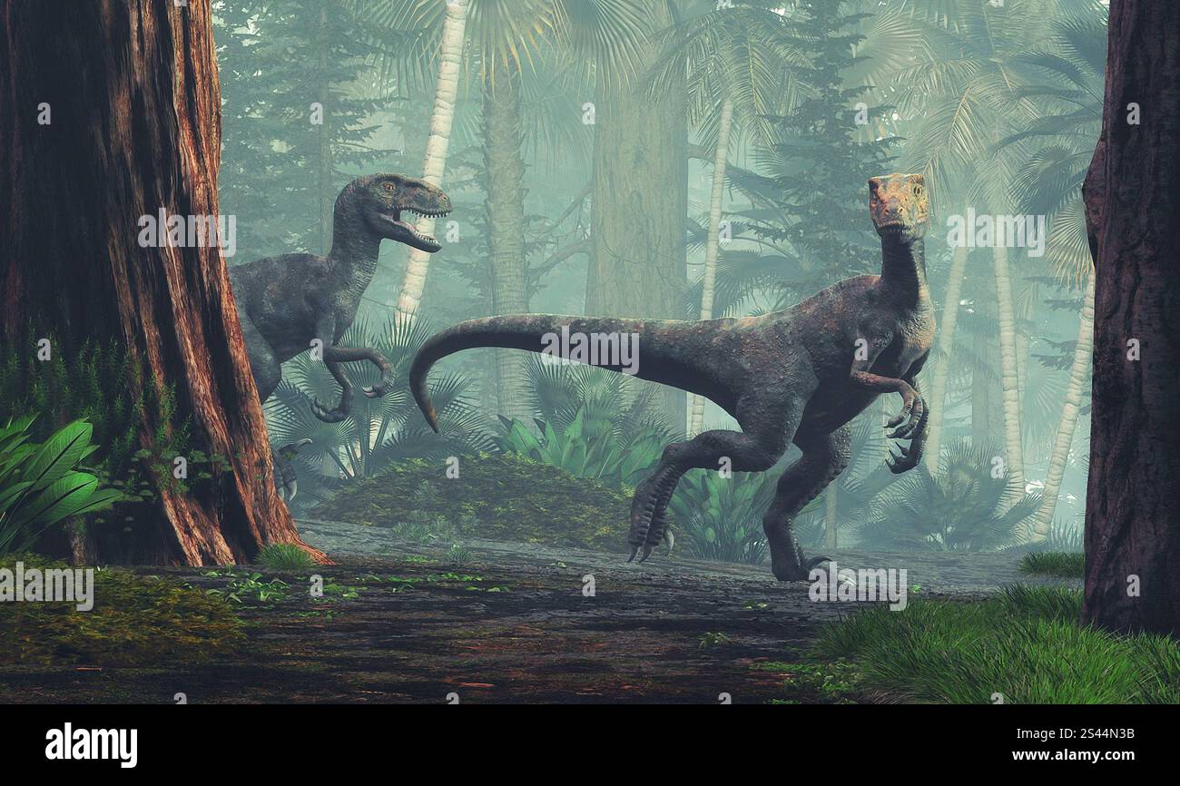 Velociraptor walking through the forest. This Dinosaur lived in the ...