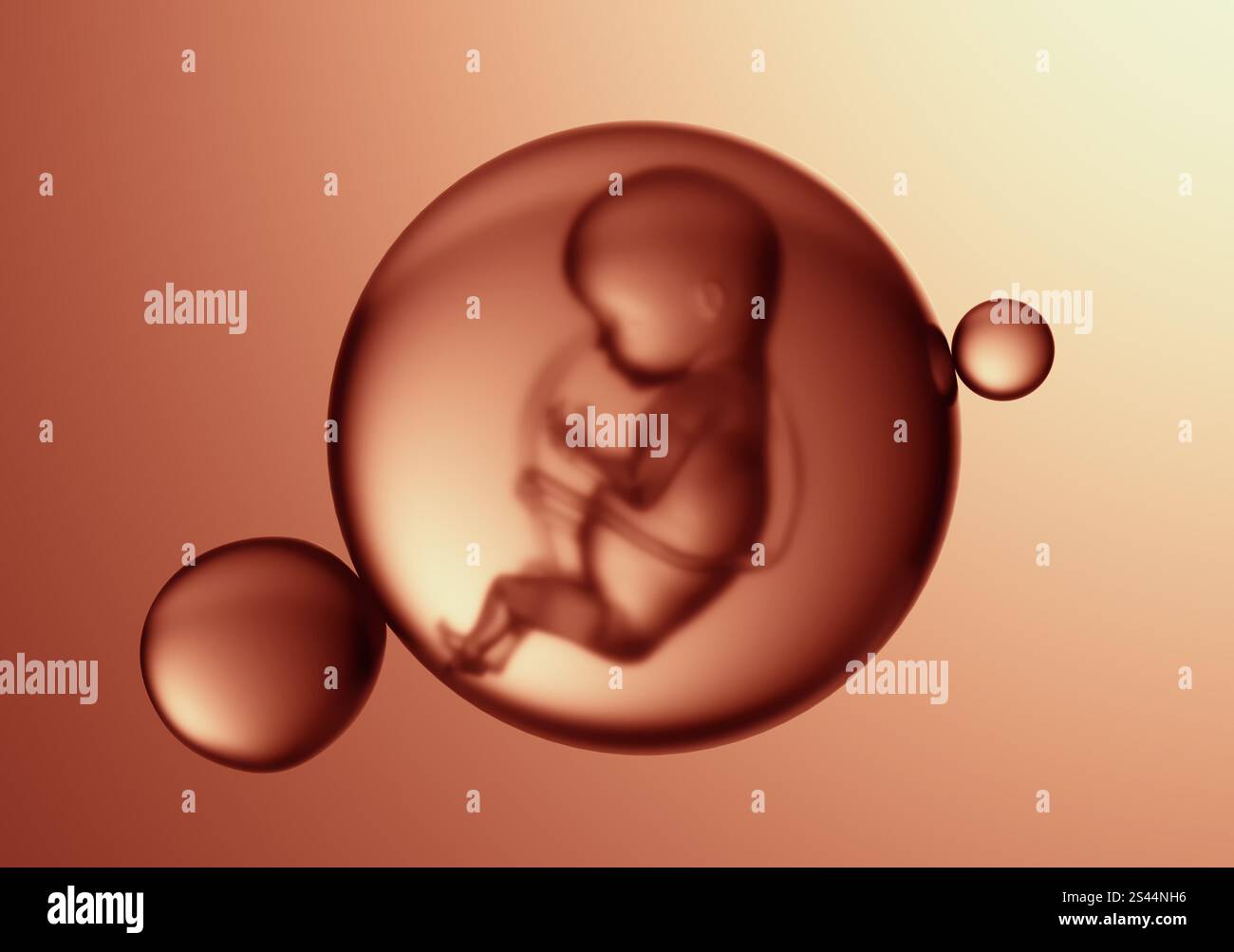 Fetus inside a sphere. Fertility and science concept. This is a 3d ...