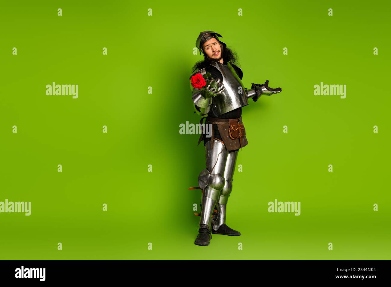 Medieval knight in full armor with red rose on green background ...