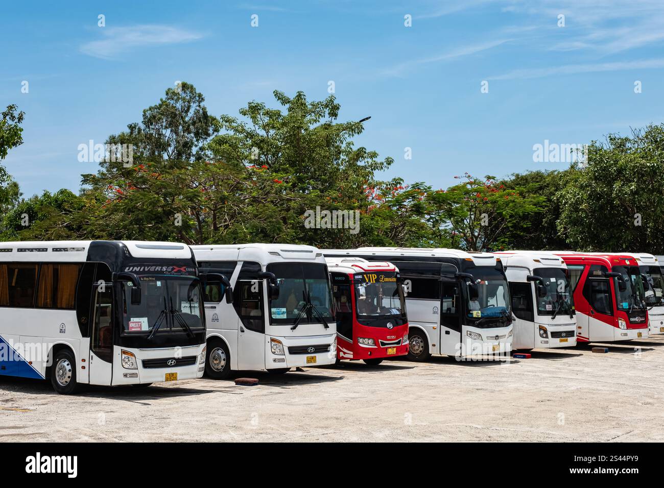 Row of modern tourist buses are parked in a parking area surrounded by ...