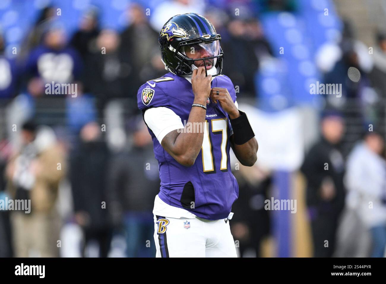 Baltimore Ravens quarterback Josh Johnson (17) looks on during pre-game ...