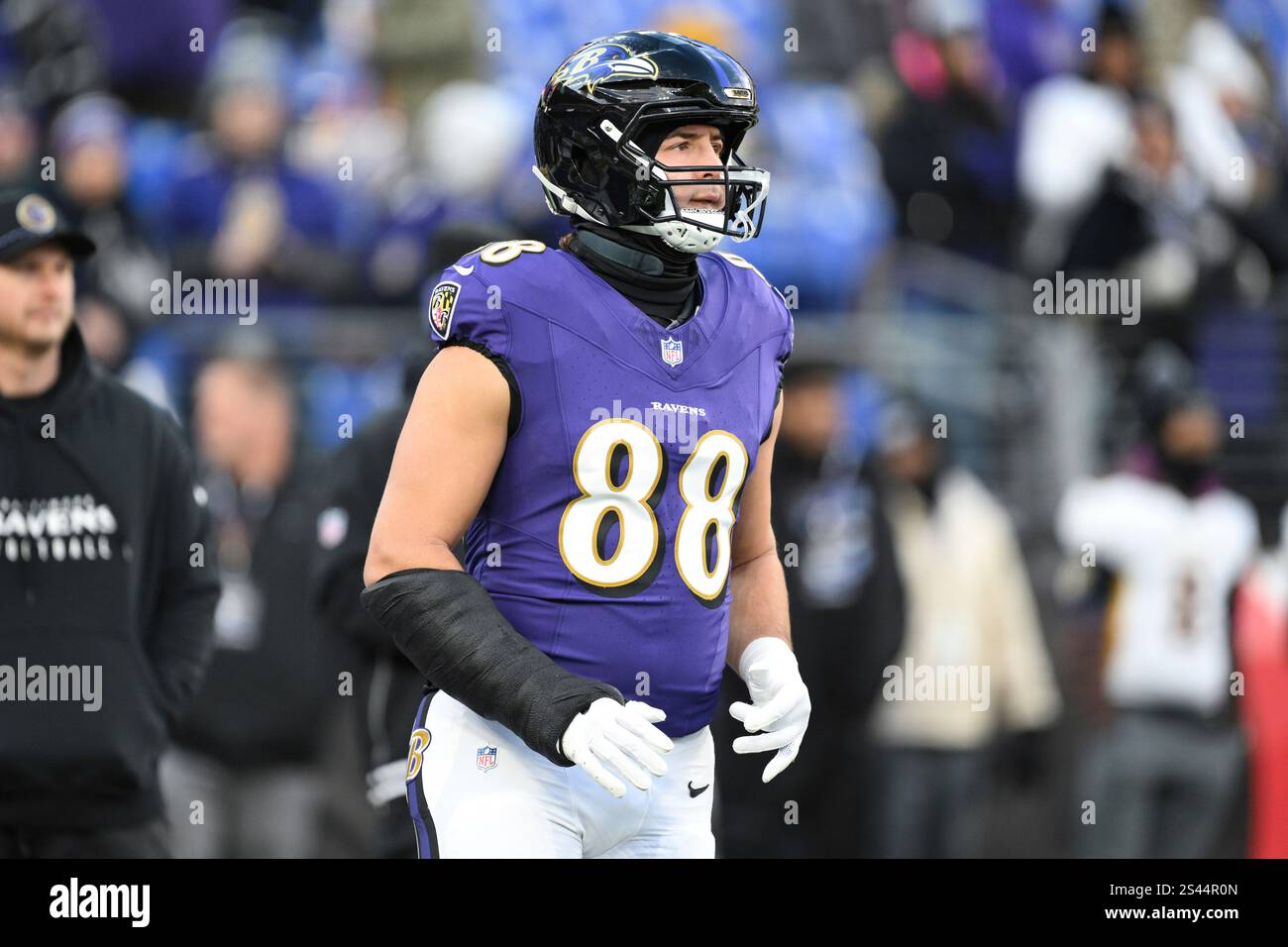 Baltimore Ravens tight end Charlie Kolar (88) looks on during pre-game ...