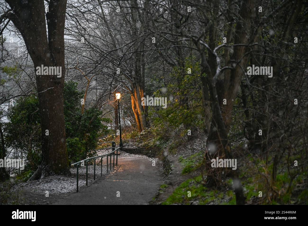 Brighton UK 8th January 2025 - Picturesque path with street lamp in ...