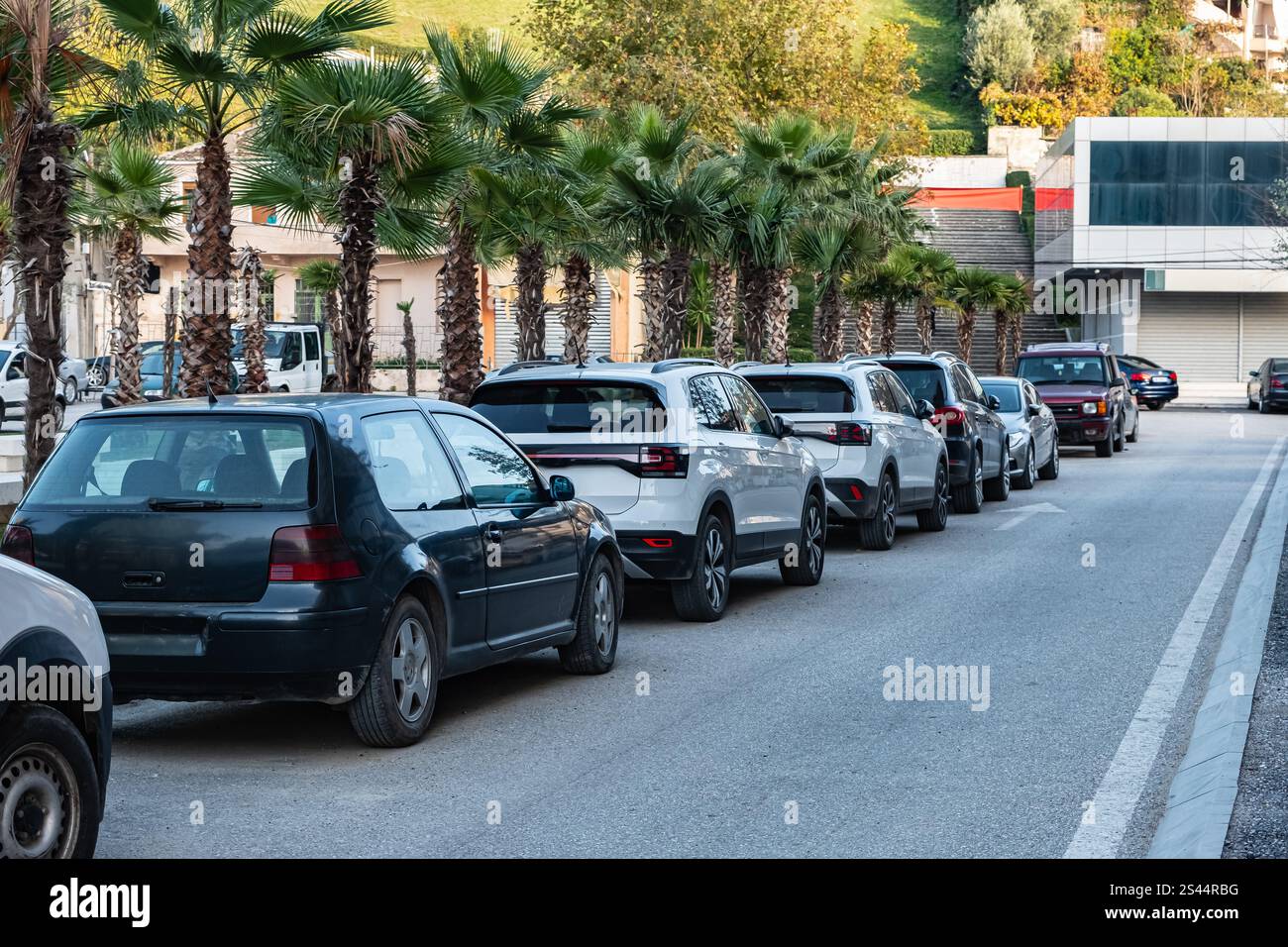 Cars parked along a tree-lined residential street in suburban in Europe ...