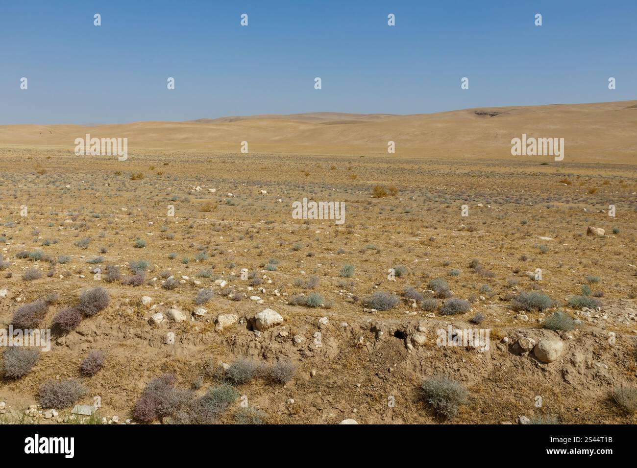 Dry, barren land stretches across Kunduz Province, dotted with sparse ...