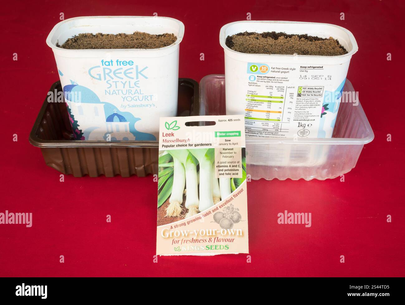Using recycled plastic food containers to sow vegetable seeds Stock ...