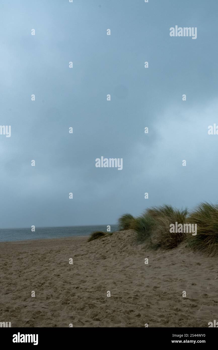 A moody beach scene with dark clouds above and soft sand below, perfect ...