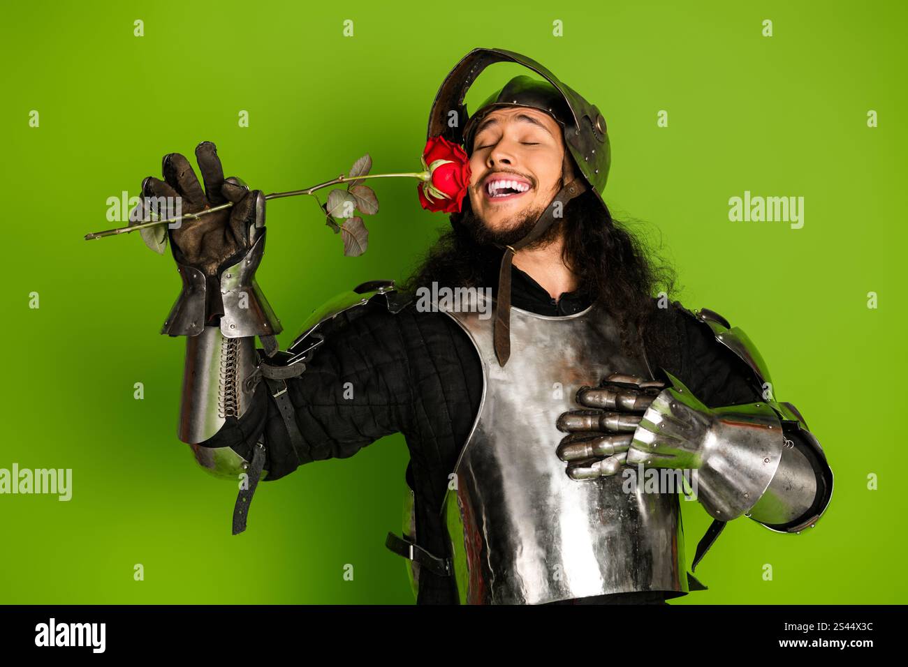Medieval Knight Wearing Armor and Holding a Red Rose Against a Green ...