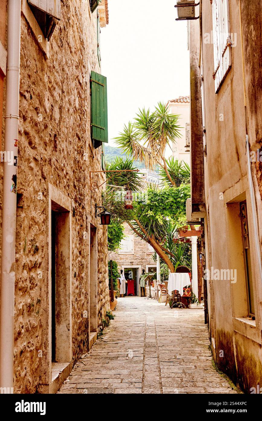 Cobblestone street in the old part of the city, a stone arch over the ...