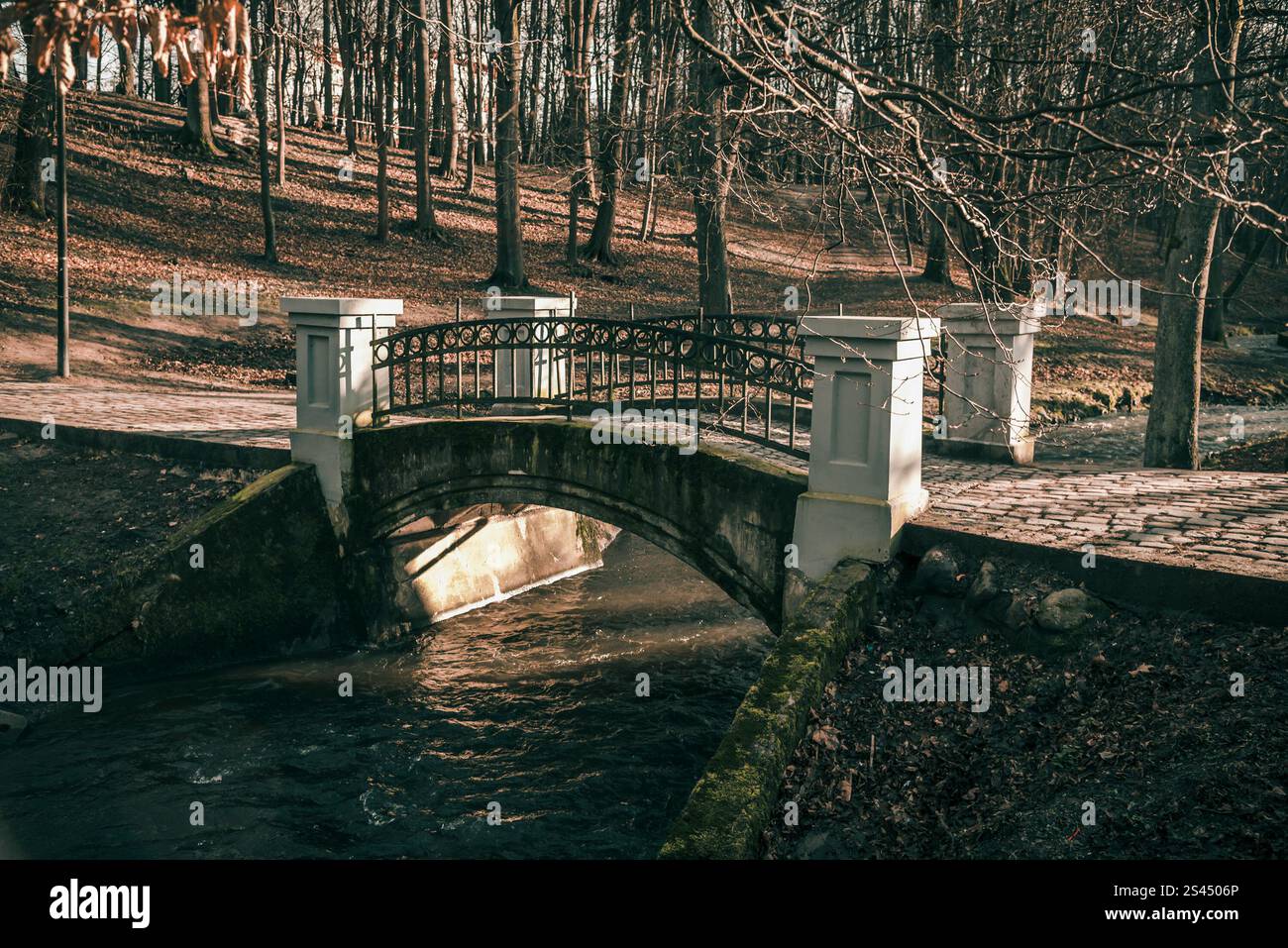 Footbridge over water, bright day landscape blue sky and river bank ...