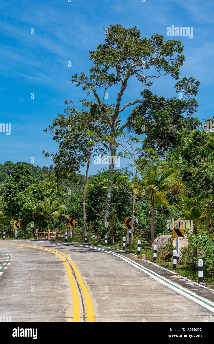 Empty concrete road with turn and signposts through the rainforest at ...