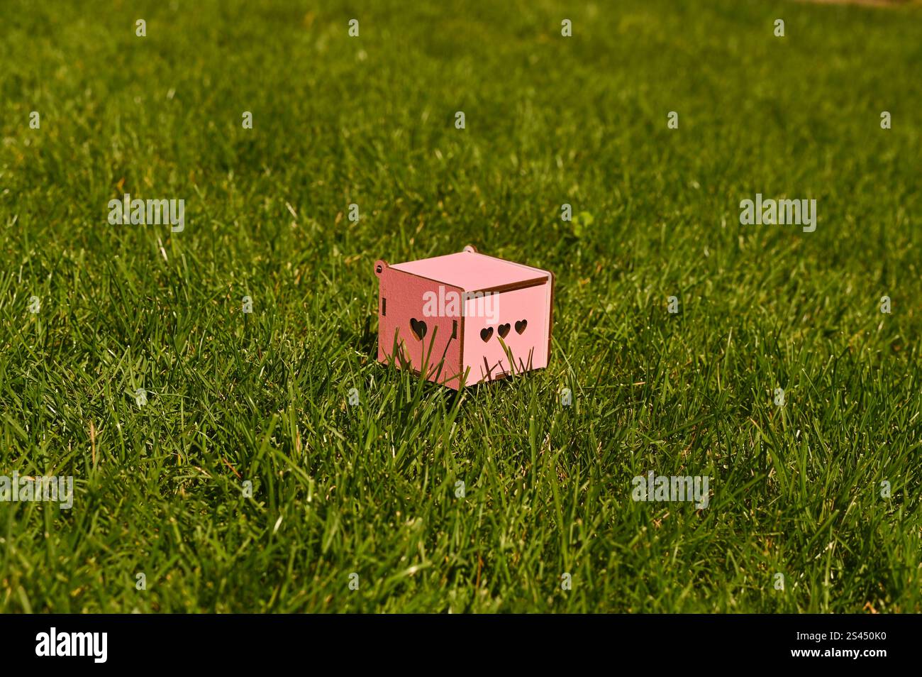 One pink baby box on the green grass. The concept of toy furniture ...