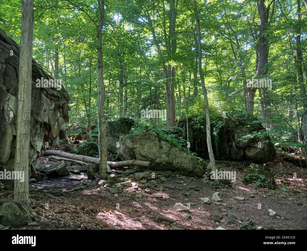 View at the forest part of Niagara Glen trail near the Niagara Falls ...