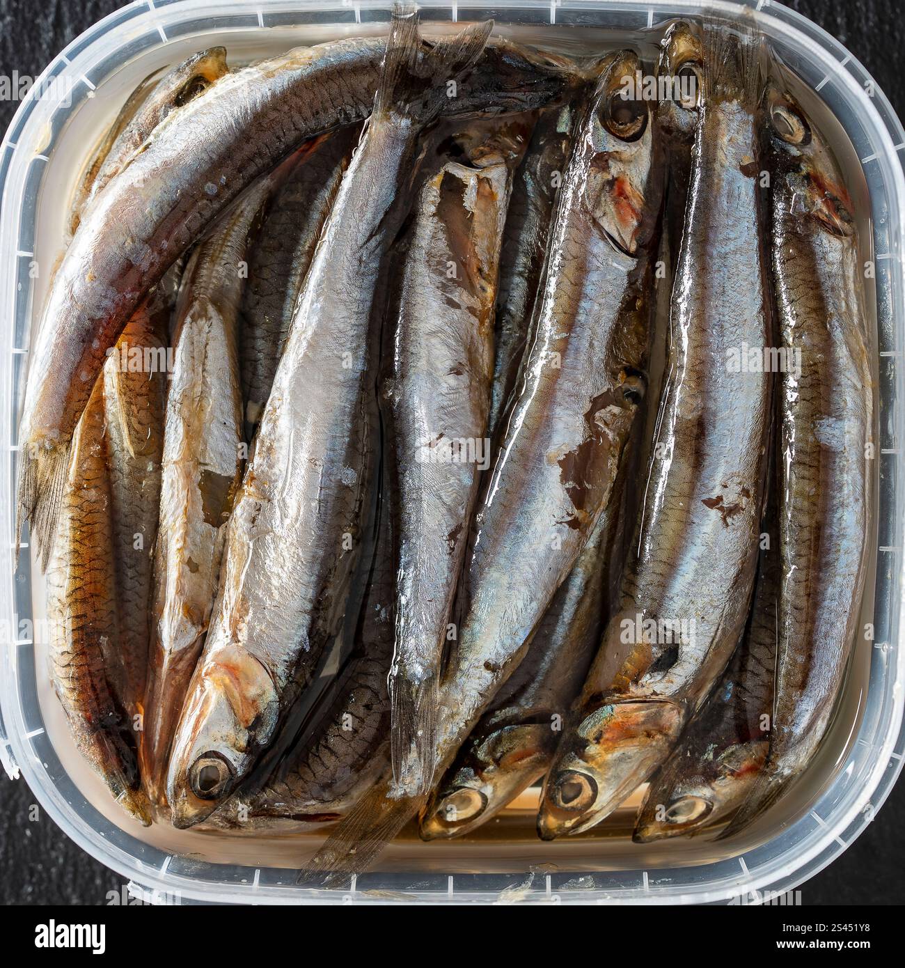 Salted anchovy in oil in a plastic container, close up, top view. Food ...