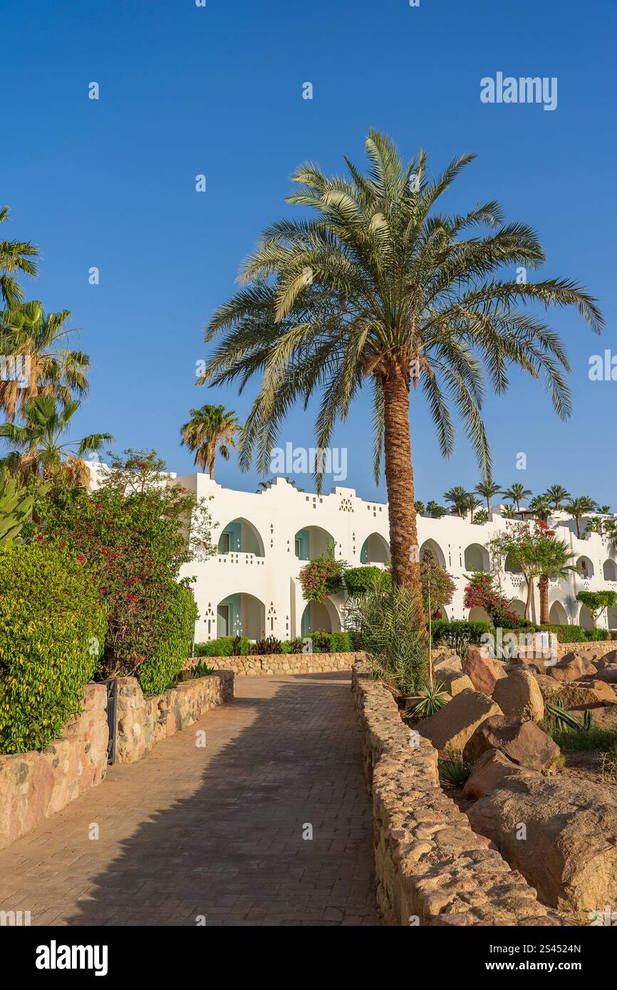 Beautiful view of palm trees, white buildings and stone path at ...
