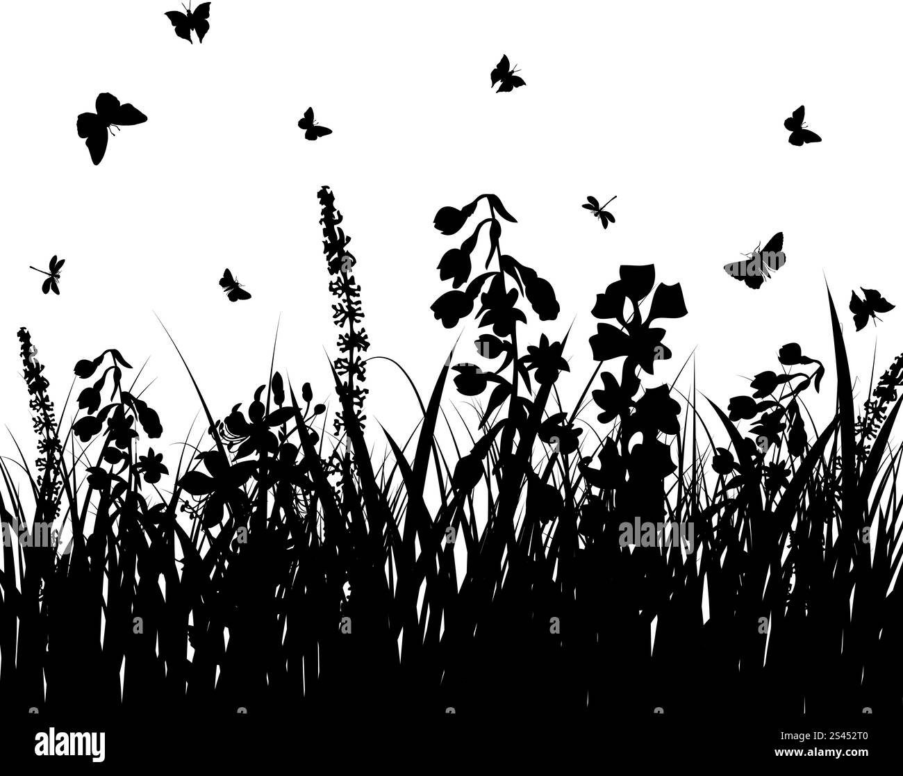 Fields flowers on background Black and White Stock Photos & Images - Alamy