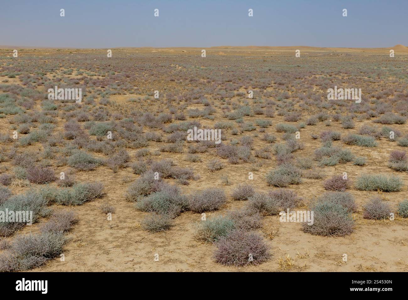 Expansive view of a dry desert area in Kunduz Province with scattered ...
