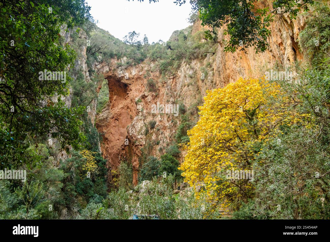 God's Bridge in Akchour Waterfalls, Morocco Stock Photo - Alamy