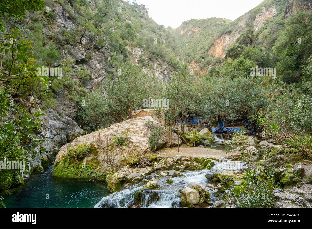 Beautiful Waterfalls Akchour in Chefchaouen, Morocco, North Africa ...