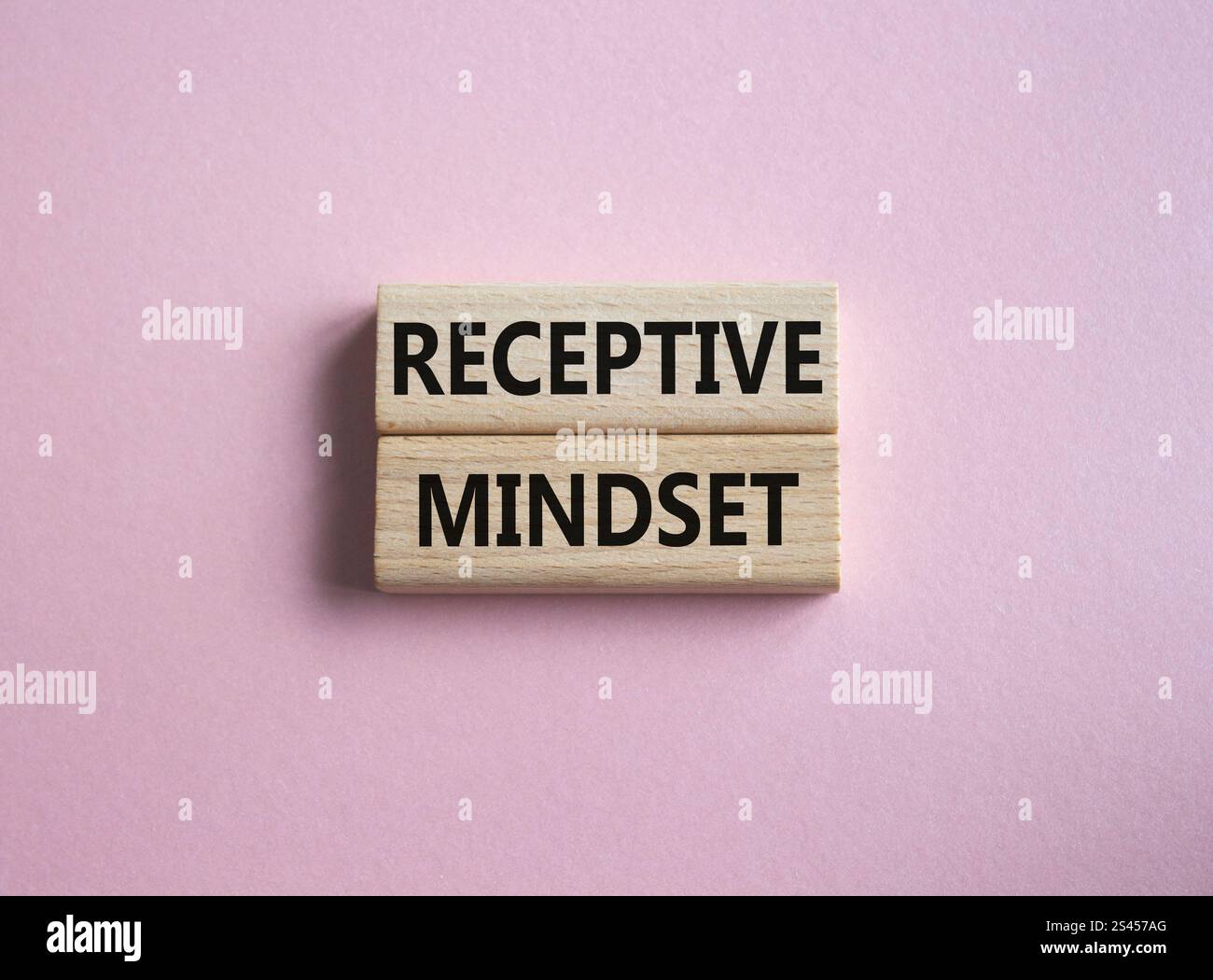 Receptive Mindset symbol. Concept word Receptive Mindset on wooden ...