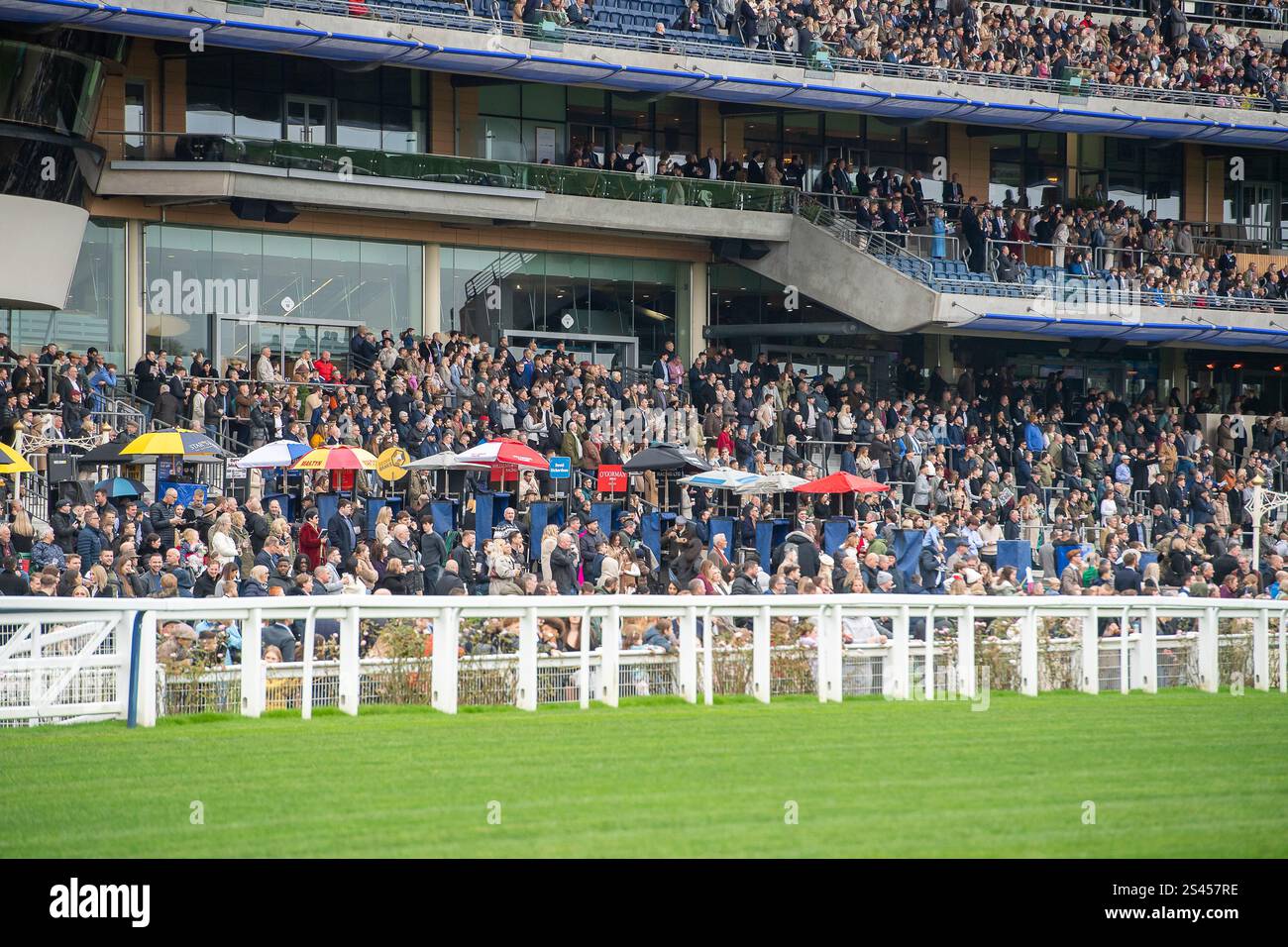 Ascot, Berkshire, UK. 2nd November, 2024. A packed grandstand at the ...