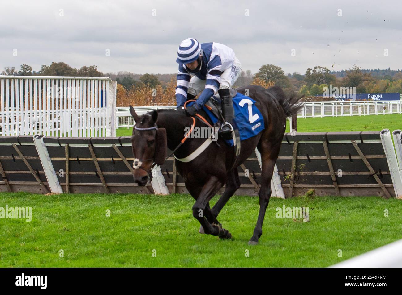 Katate dori hi-res stock photography and images - Alamy