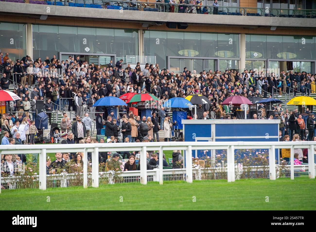 Ascot, Berkshire, UK. 2nd November, 2024. A packed grandstand at the ...
