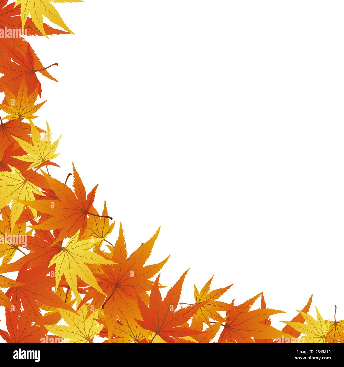 Twisted row of autumn maples leaves. Vector illustration Stock Vector ...