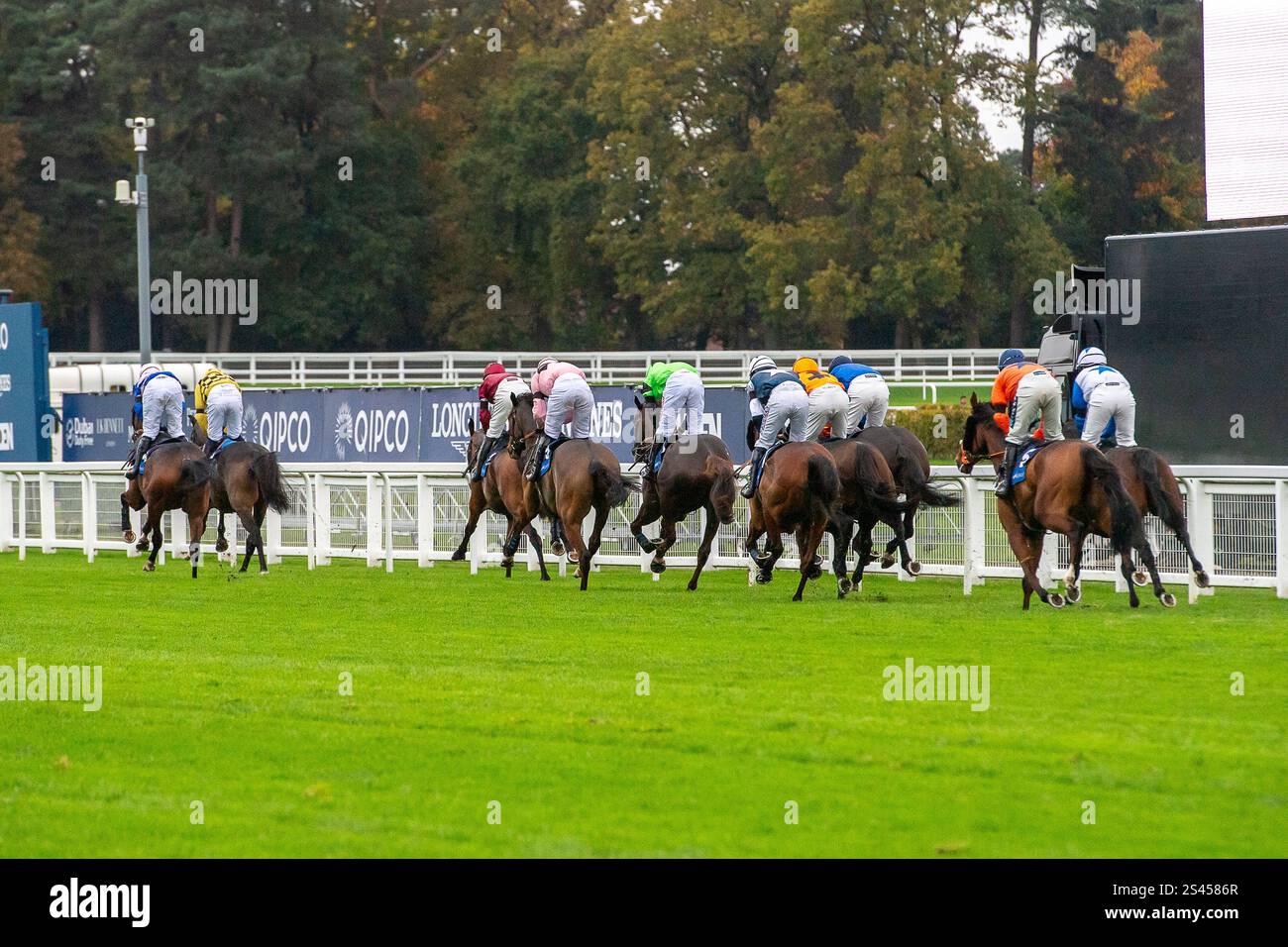 Ascot, Berkshire, UK. 2nd November, 2024. The Byrne Group Handicap ...