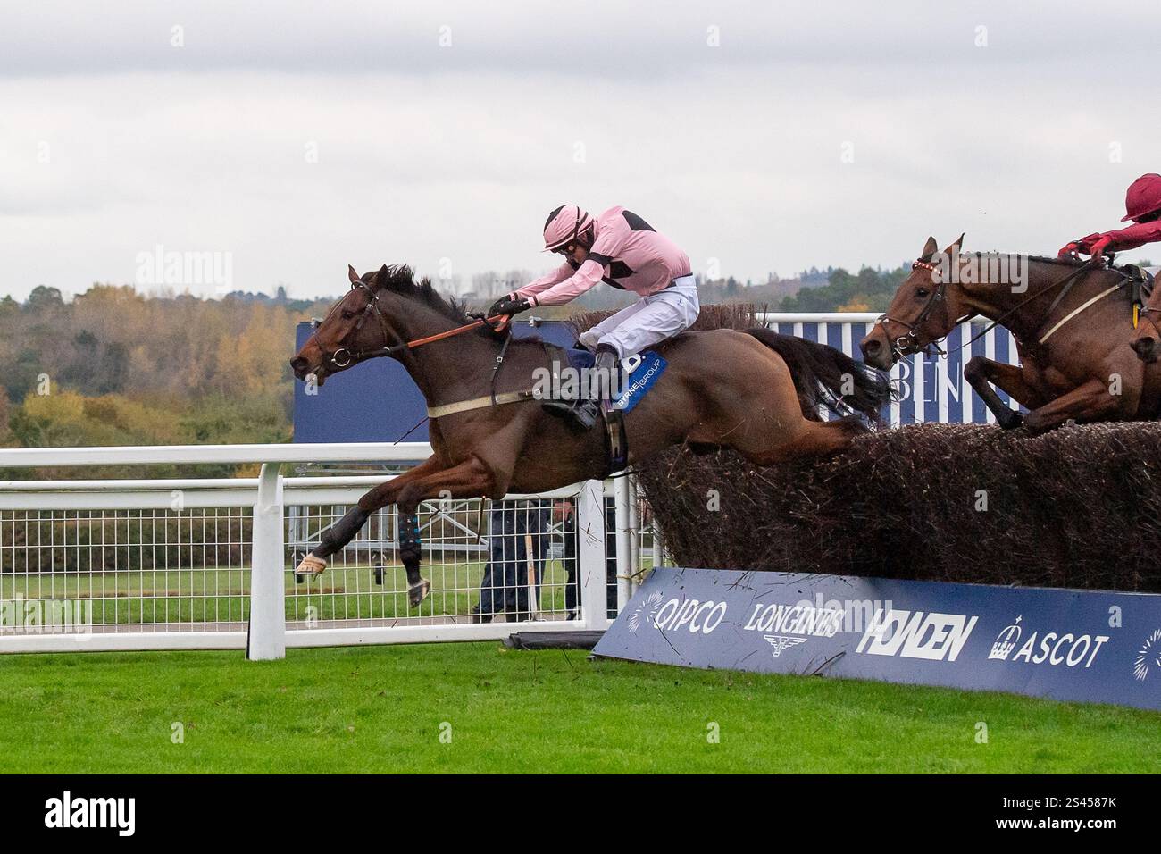 Ascot, Berkshire, UK. 2nd November, 2024. ISSAR D'AIRY ridden by jockey ...