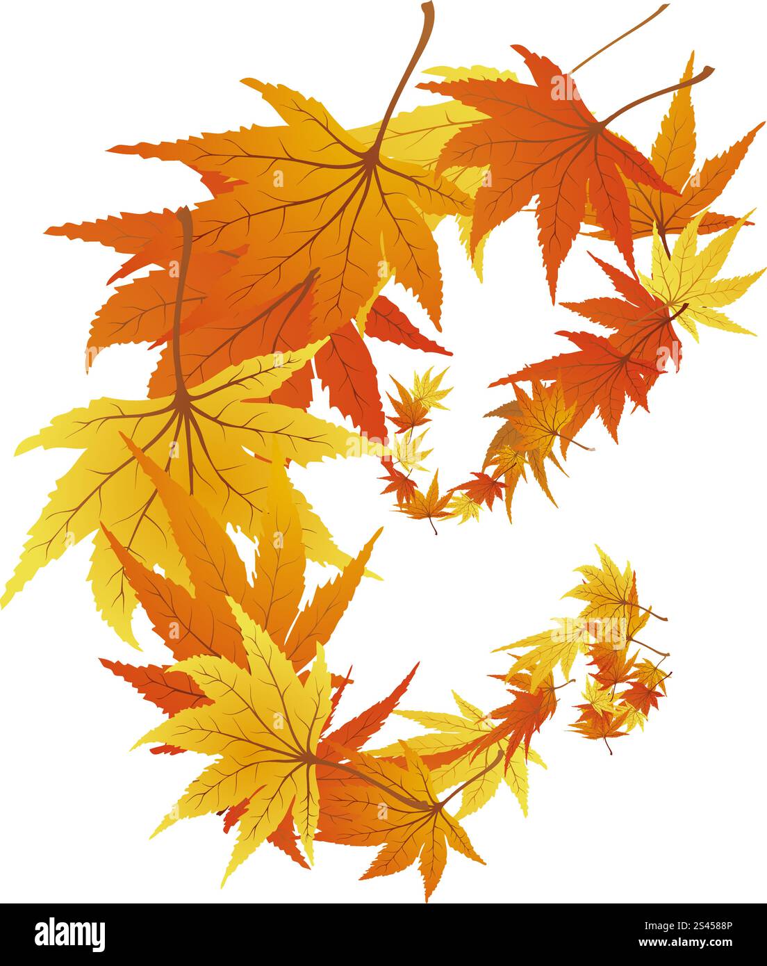 Trees with twisted branches Cut Out Stock Images & Pictures - Alamy