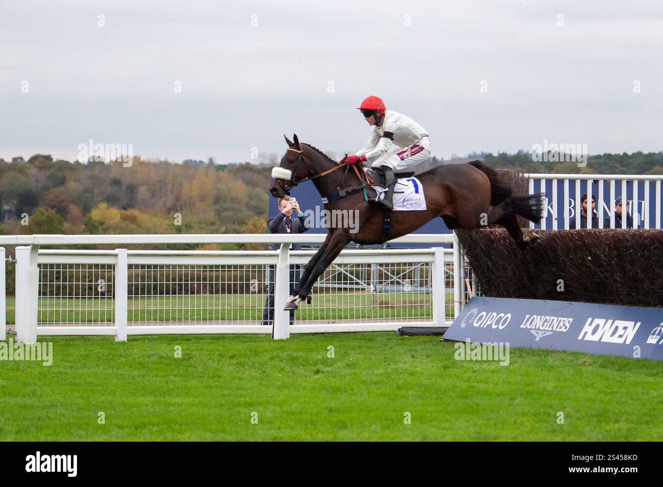 Ascot, Berkshire, UK. 2nd November, 2024. CHIANTI CLASSICO ridden by ...