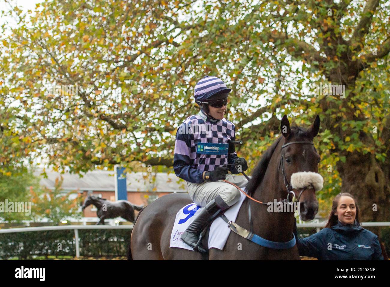 Ascot, Berkshire, UK. 2nd November, 2024. HIGHSTAKESPLAYER ridden by ...