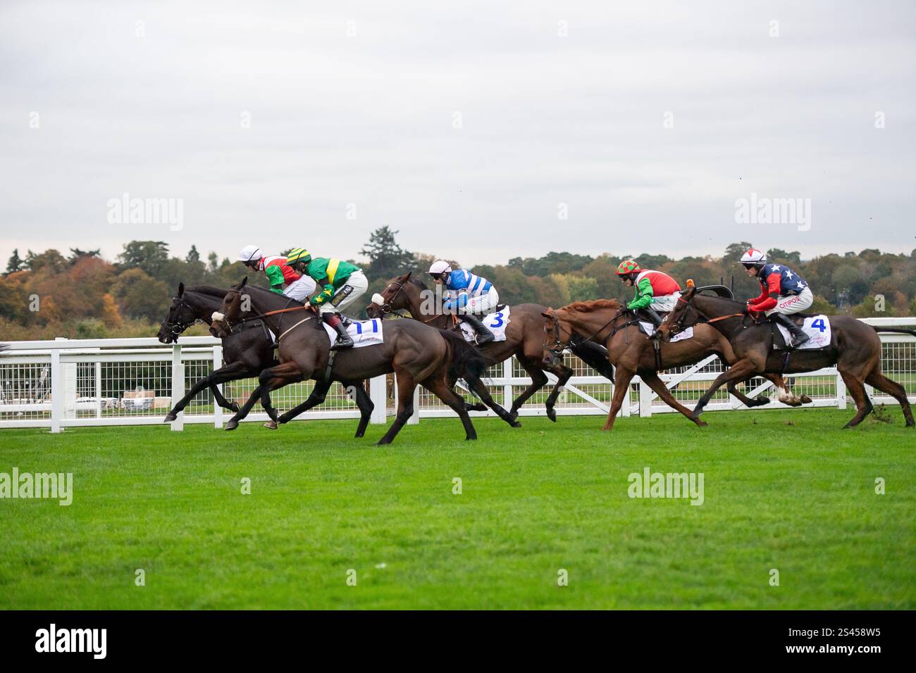 Ascot, Berkshire, UK. 2nd November, 2024. The Sodexo Live! Gold Cup ...