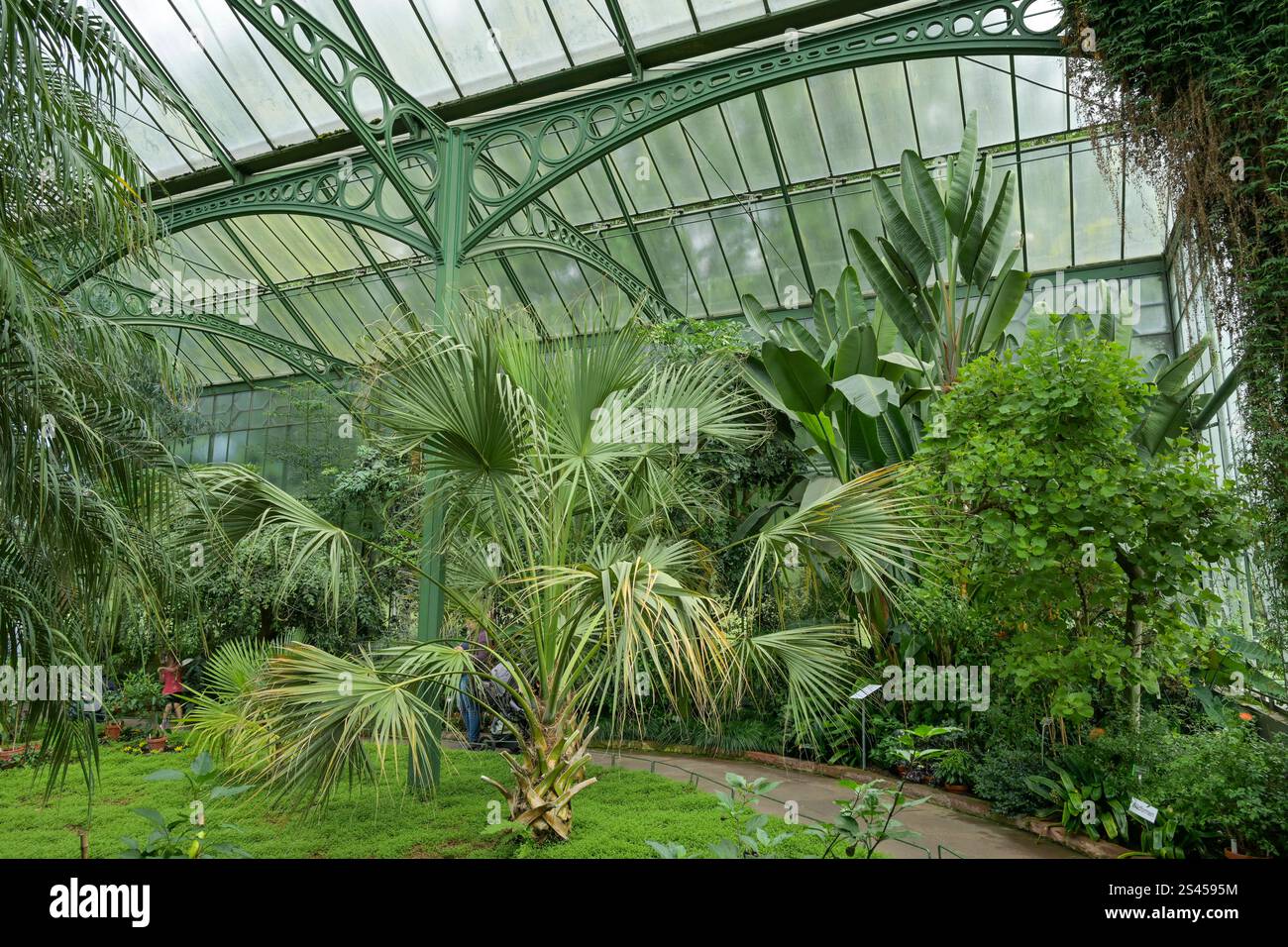 Wintergarten / Palmenhaus, Wilhelma, Zoologisch-Botanischer Garten ...