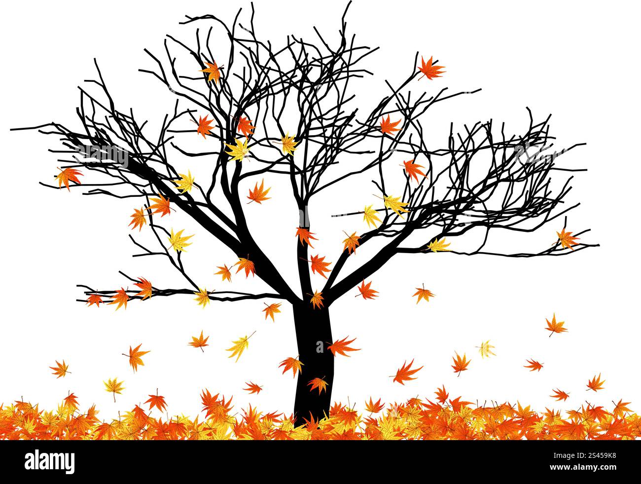 Twisted row of autumn maples leaves. Vector illustration Stock Vector ...
