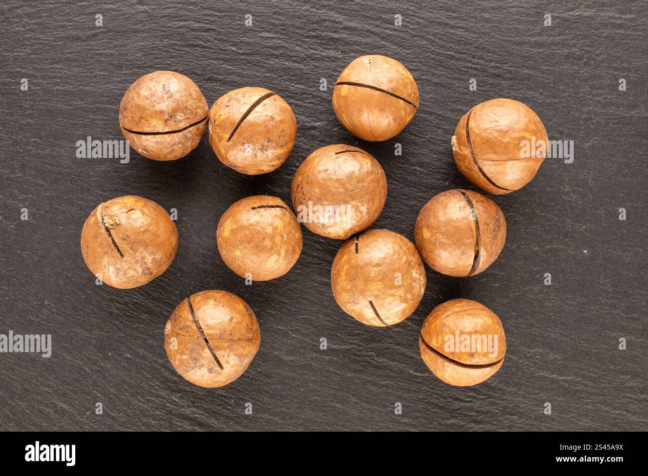 Macadamia nuts in shell on slate stone, top view Stock Photo - Alamy