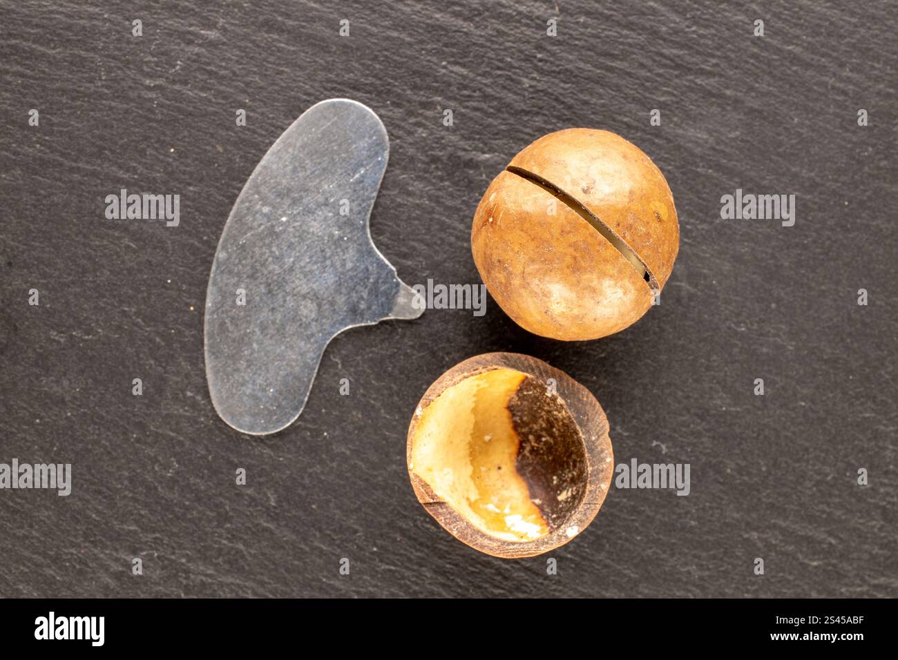 Macadamia nuts in shell with metal key on slate stone, top view Stock ...