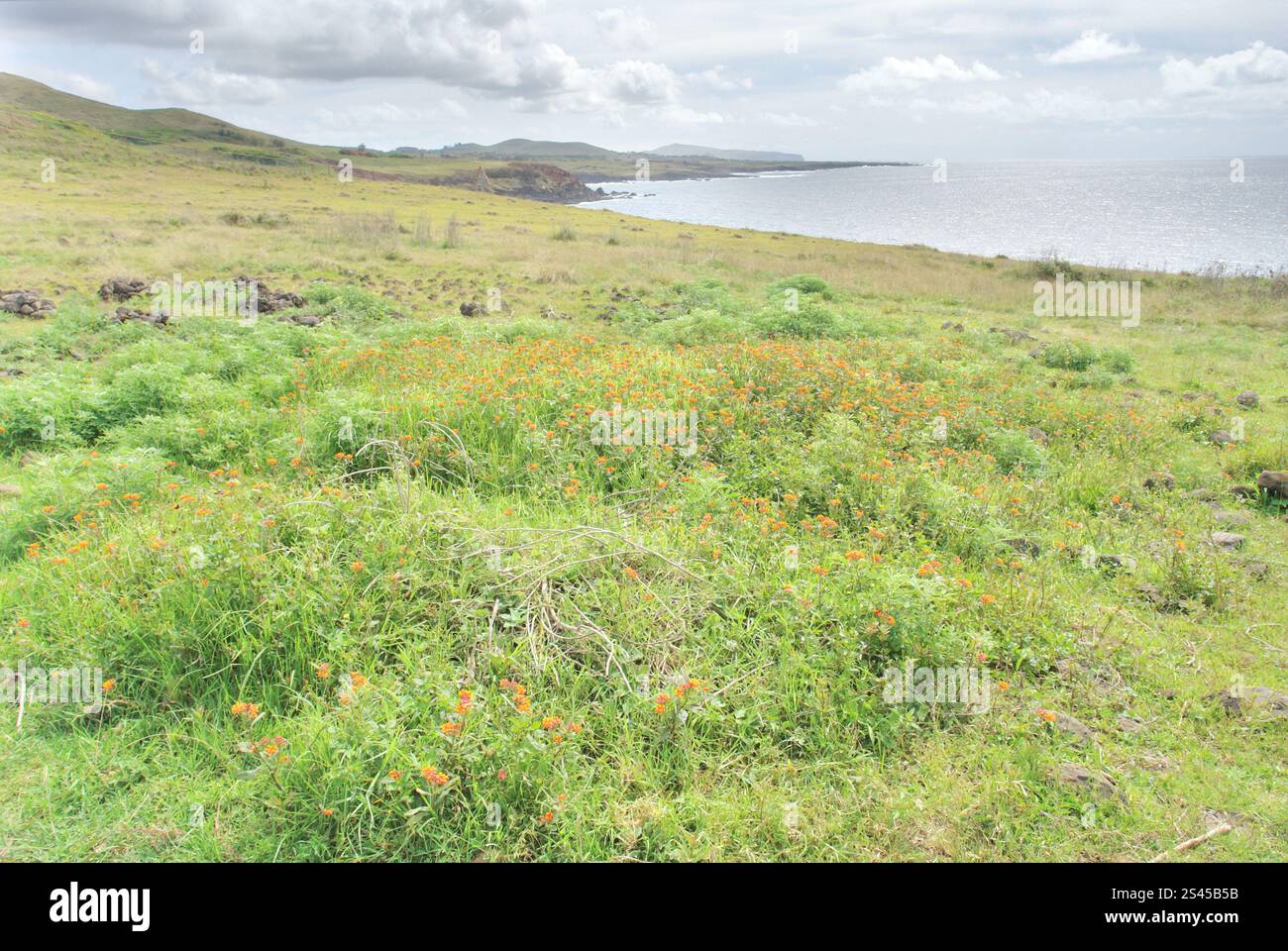Ahu Vinapu archaeological site on Rapa Nui (Easter Island) in Eastern ...