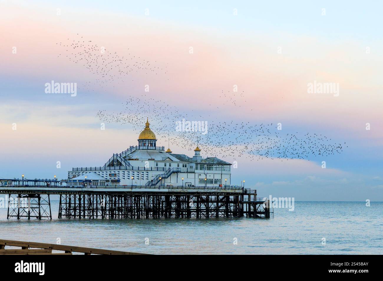 Uk murmuration 2025 hi-res stock photography and images - Alamy