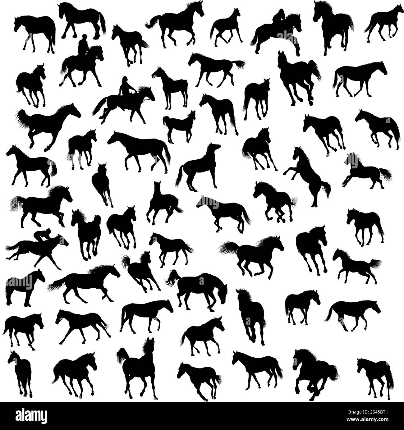 Big vector collection of different horses silhouettes Stock Vector ...