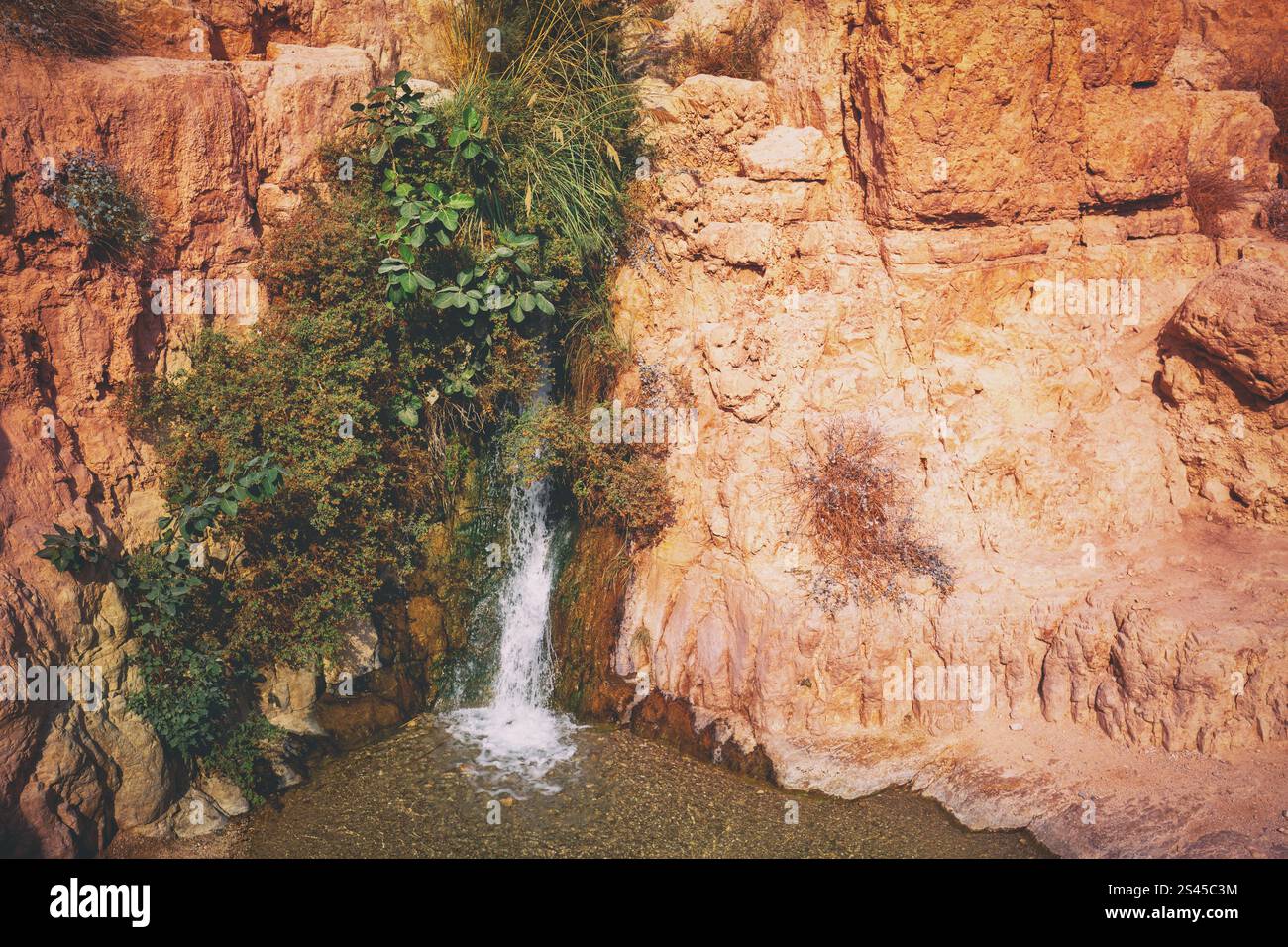 David waterfall in the Ein Gedi nature reserve. Israel Stock Photo - Alamy