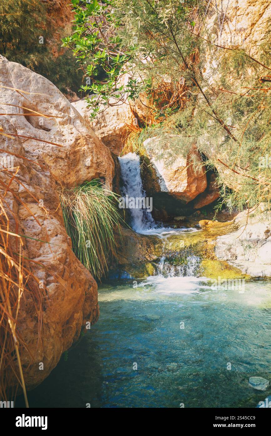 Lower waterfall in the Ein Gedi nature reserve. Israel Stock Photo - Alamy